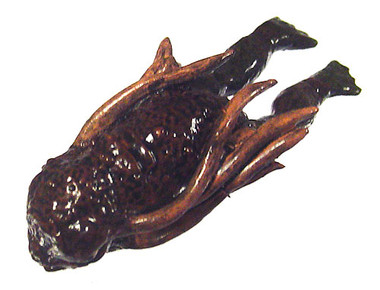 Star Wars: Bib Fortuna - Jabba Frog - Toy Anxiety