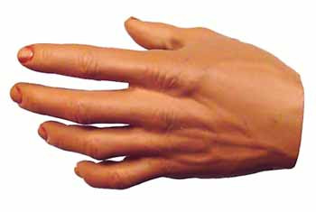 Star Wars: Qui Gon Jinn - Left Force Hand - Toy Anxiety