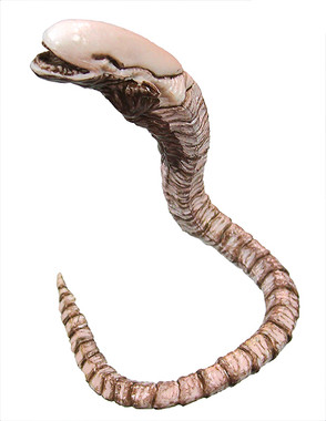 Alien Killer - Chestburster - Toy Anxiety