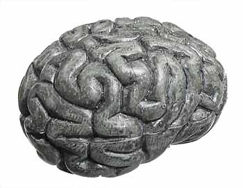 Young Frankenstein: Igor - Brain - Toy Anxiety