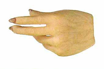 Harry Potter: Deathly Hollows Pt. 2: Voldemort - Hand 2 - Toy Anxiety