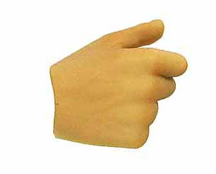 Harry Potter: The Order of the Phoenix: Sirius Black - Right Hand - Toy ...