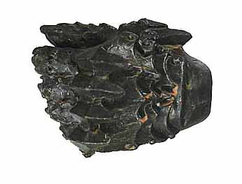 Ringwraith (Asmus) - Left Gripping Hand - Toy Anxiety