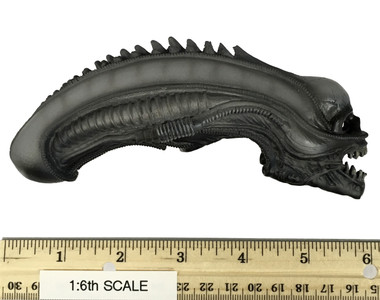 Dark Star’s World: Masterpiece: H.R. Giger - Alien Head Prop (See Note ...
