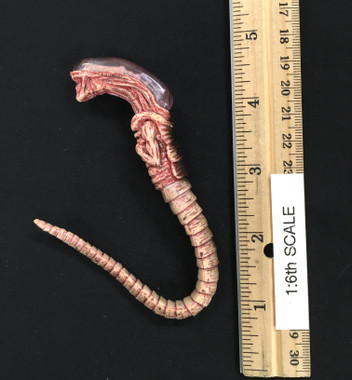 Xenomorph Eggs Set - Xenomorph Larva Figurine - Toy Anxiety