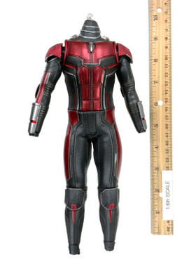 Ant-Man and the Wasp: Ant-Man - Body w/ Suit (See Note) - Toy Anxiety