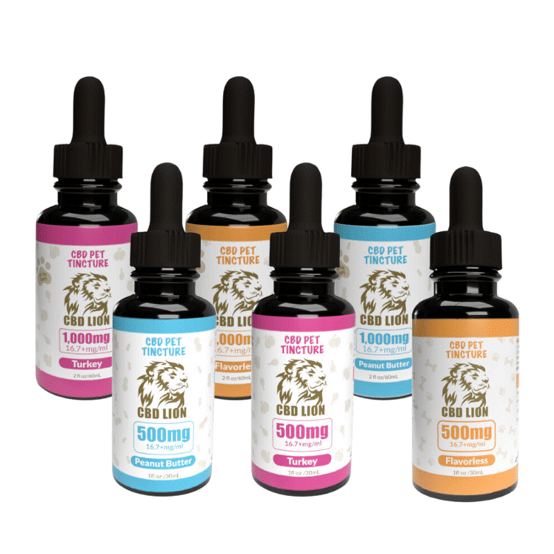 Why Some Pets May Be Sensitive to CBD Pet Tincture and How to Adjust ...