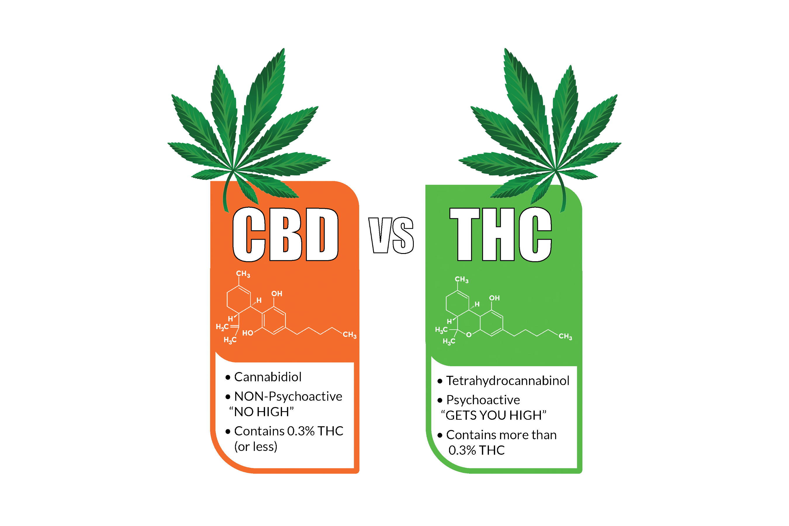 CBD Vs THC What s The Difference CBD LION CBD Vs THC What s The Difference CBD LION