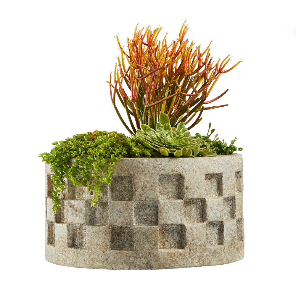 Damier Planter