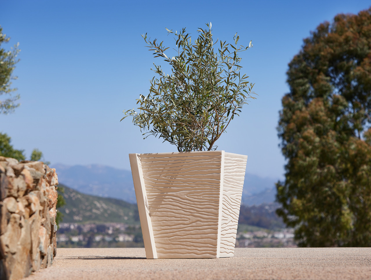 Bois Planter X Roger Thomas