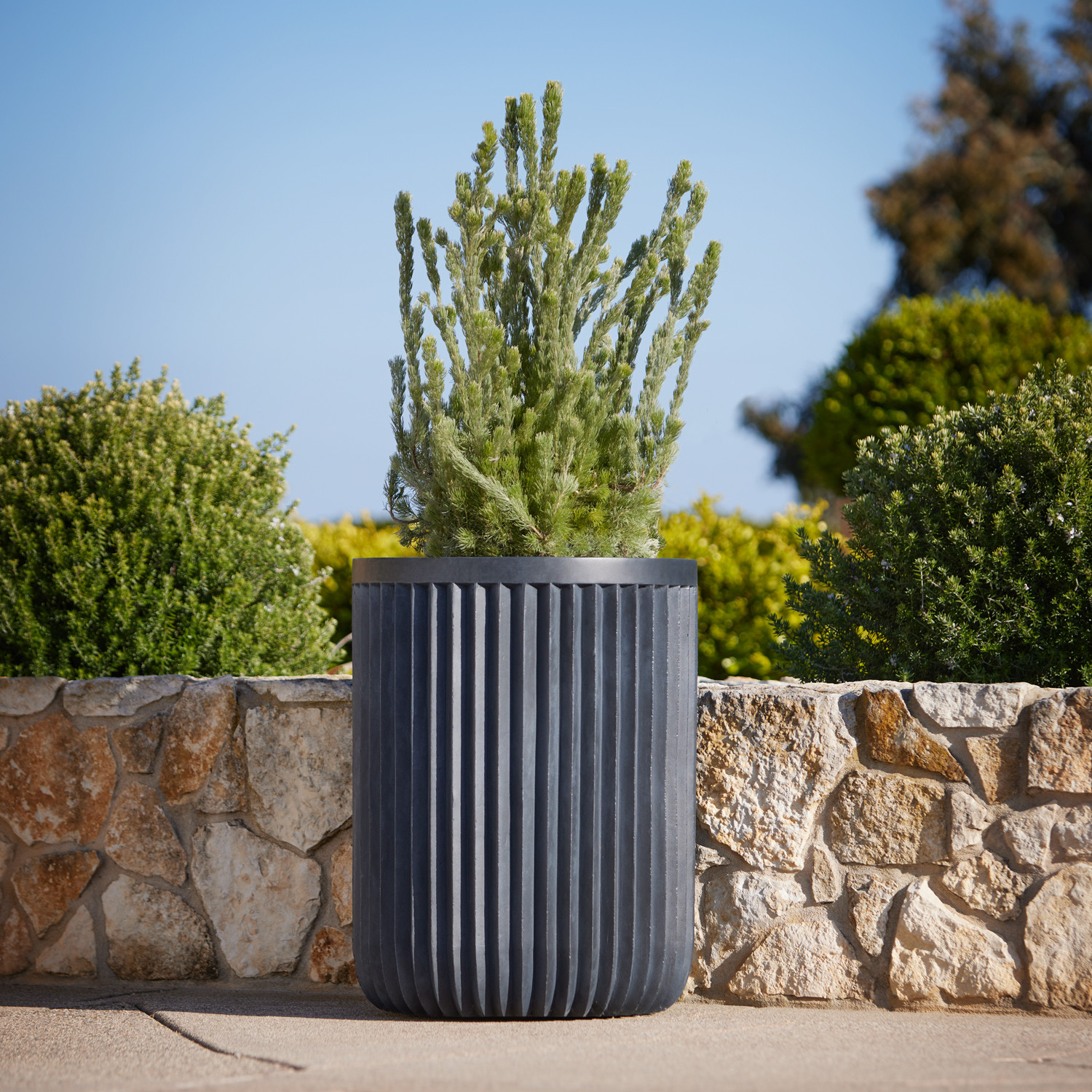 Cozzo Planter