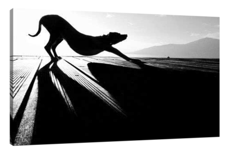 Contrast composition makes your photo more attractive - Custom Canvas ...