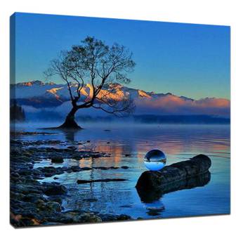 Capture Beautiful Sights: How to Turn Your Photos into Lasting Memories ...