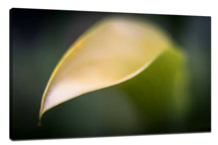 How to Take a Simple but Impressive Photo: A Beginner's Guide to ...