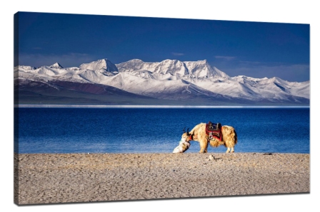 Master the Art of Contrast: Tips for Taking Stunning Pictures ...