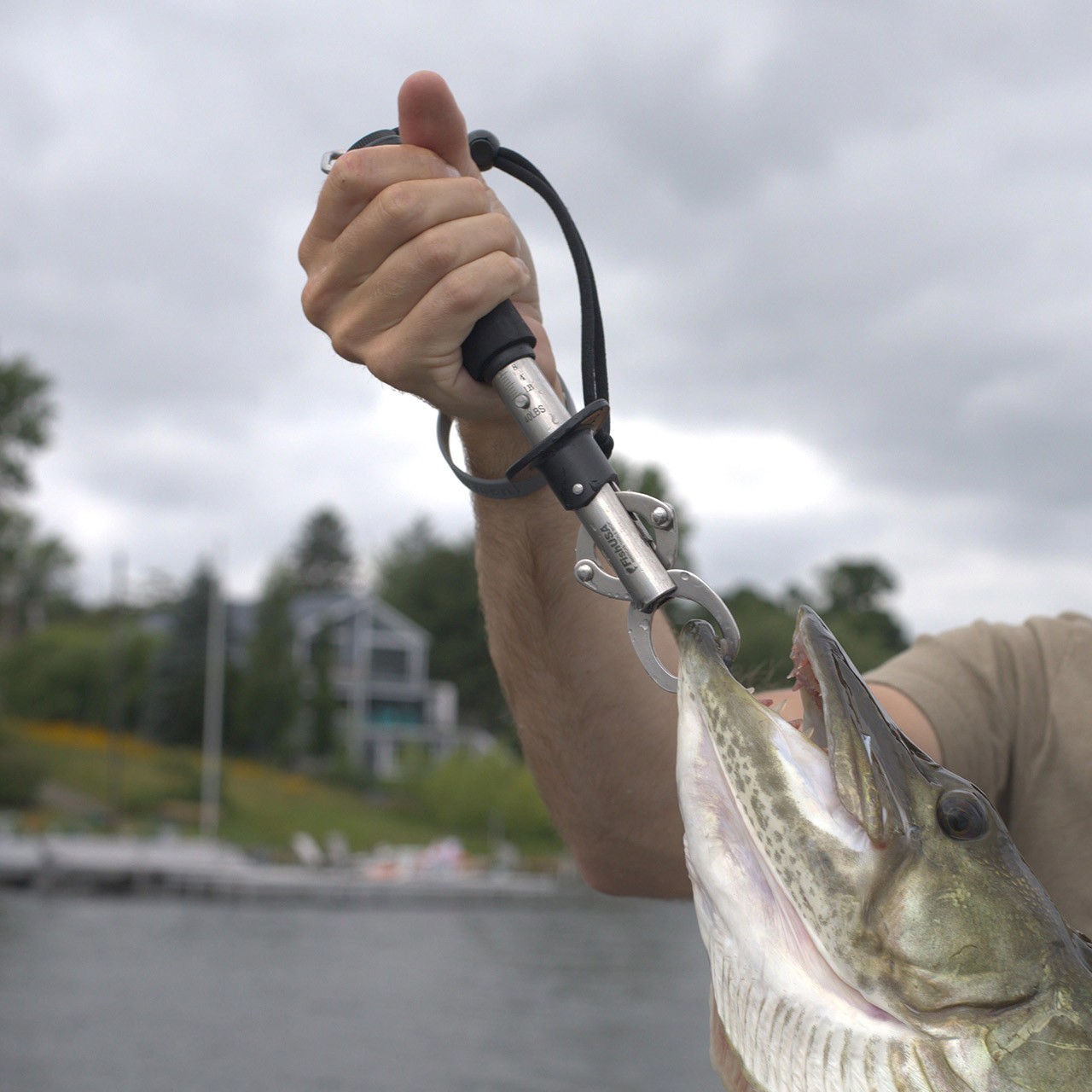FishUSA Stainless Steel Lip Grip with Scale | Fish Gripper | FishUSA