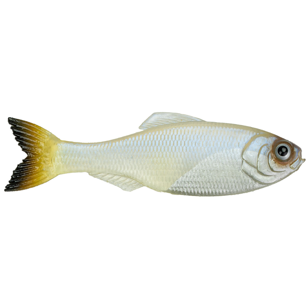 6th Sense Panorama Swimbait | FishUSA