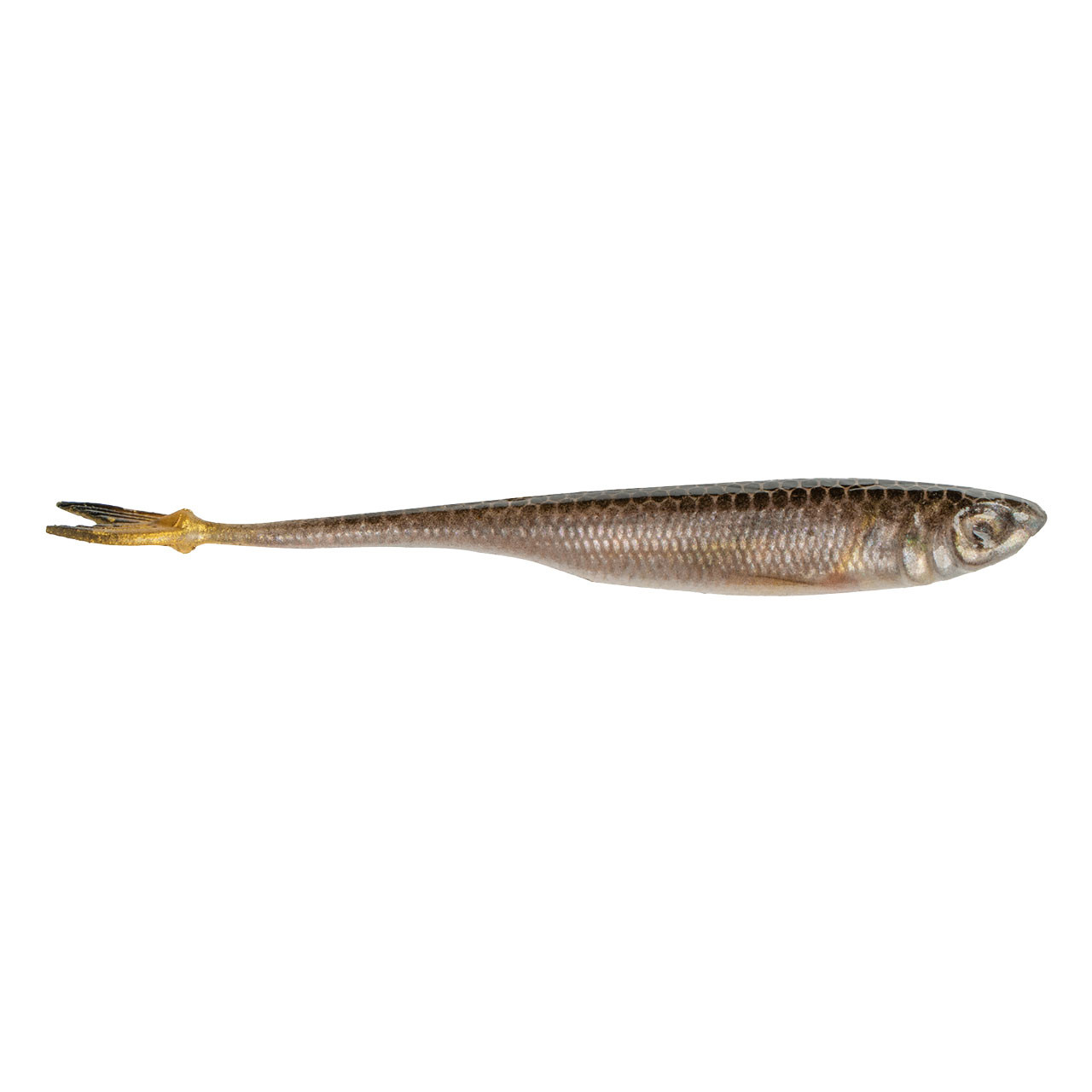 6th Sense Crappie Strobe Minnow Soft Bait | FishUSA