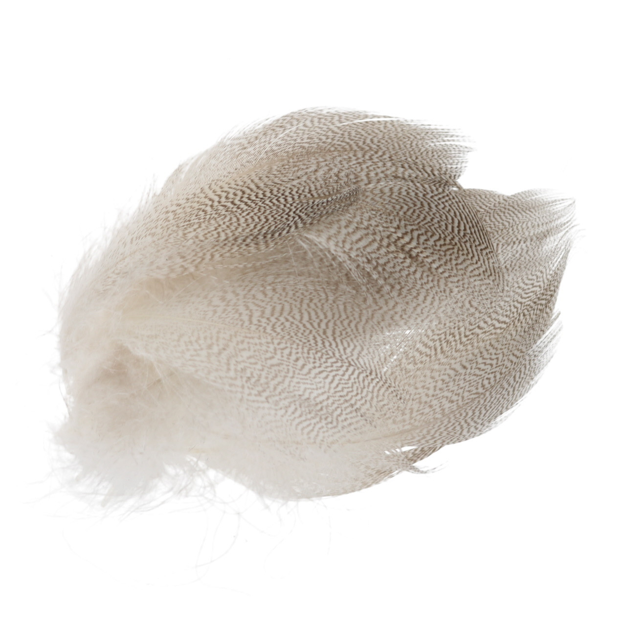 Wapsi Mallard Flank Feathers - Large Select | FishUSA