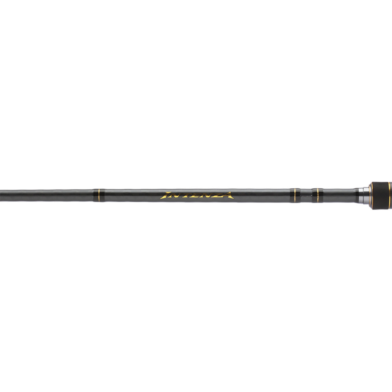 Shimano Intenza Glass Casting Rod | FishUSA