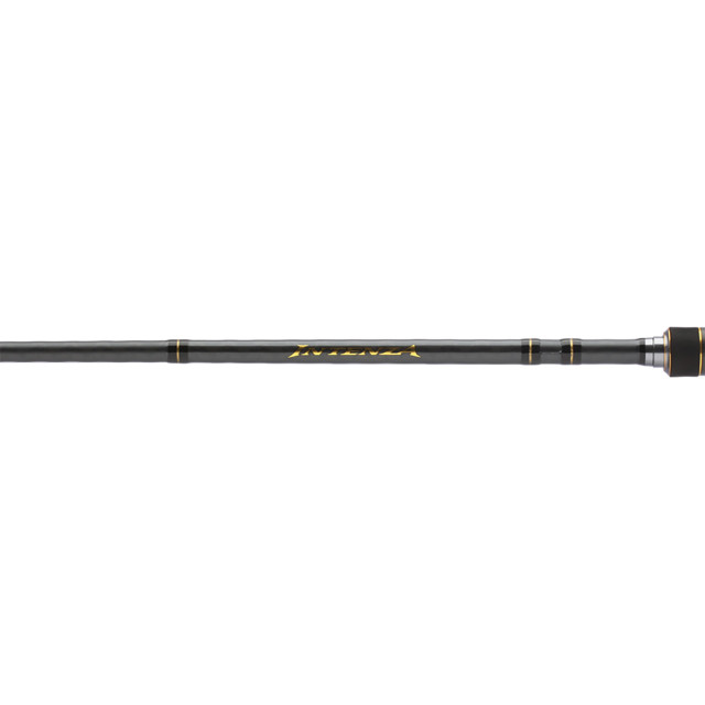 Shimano Intenza Glass Casting Rod | FishUSA