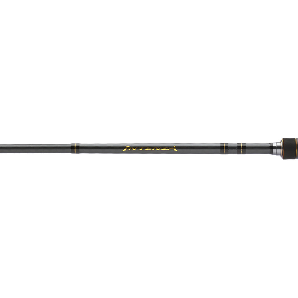 Shimano Intenza Glass Casting Rod | FishUSA