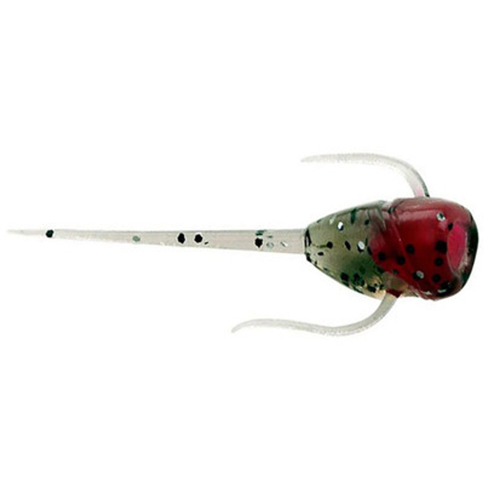 13 Fishing | FishUSA