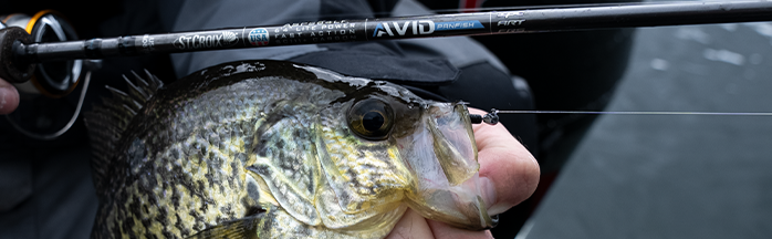 Best Crappie Fishing Rods: Expert Picks and Buying Advice - FishUSA