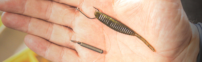 Best Drop Shot Baits for Bass: Finesse Picks That Get Bit When Nothing ...