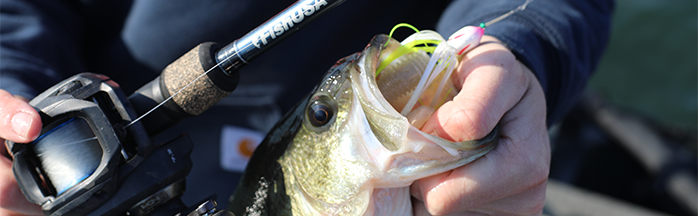 Top Fall Bass Fishing Lures: Best Baits to Maximize Your Catch This ...