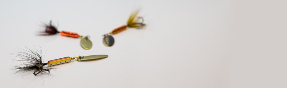 Best Spinners For Trout: The Ultimate Trout Fishing Spinner Setup - FishUSA