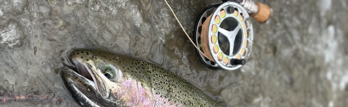 Best Steelhead Fly Rods: Top Picks for Every Angler in 2024 - FishUSA