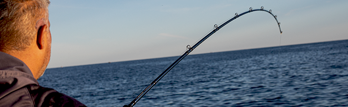 Best Trolling Rods: A Comprehensive Buying Guide - FishUSA