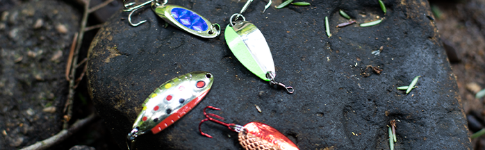 The Best Trout Spoons: Top Picks for Trout Fishing Success - FishUSA