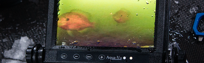 See Beneath the Ice: Best Underwater Cameras for Ice Fishing - FishUSA