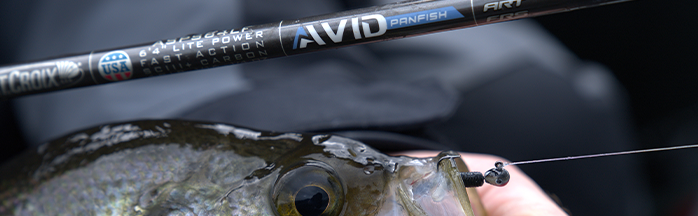 Optimize Your Gear: The Ultimate Crappie Fishing Setup Guide - FishUSA