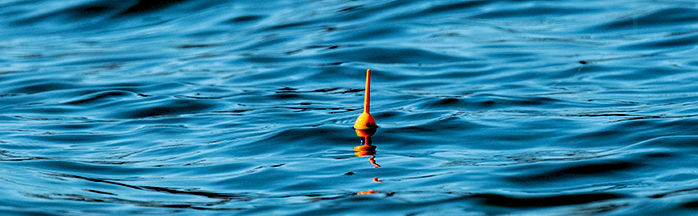 Catching Crappie with Minnows: Tips and Techniques Explained - FishUSA