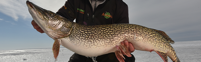 Ultimate Guide to Ice Fishing for Pike: Techniques, Gear, and Expert ...