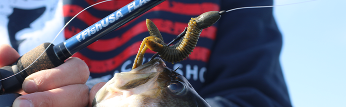 The Best Bass Rigs Explained - FishUSA