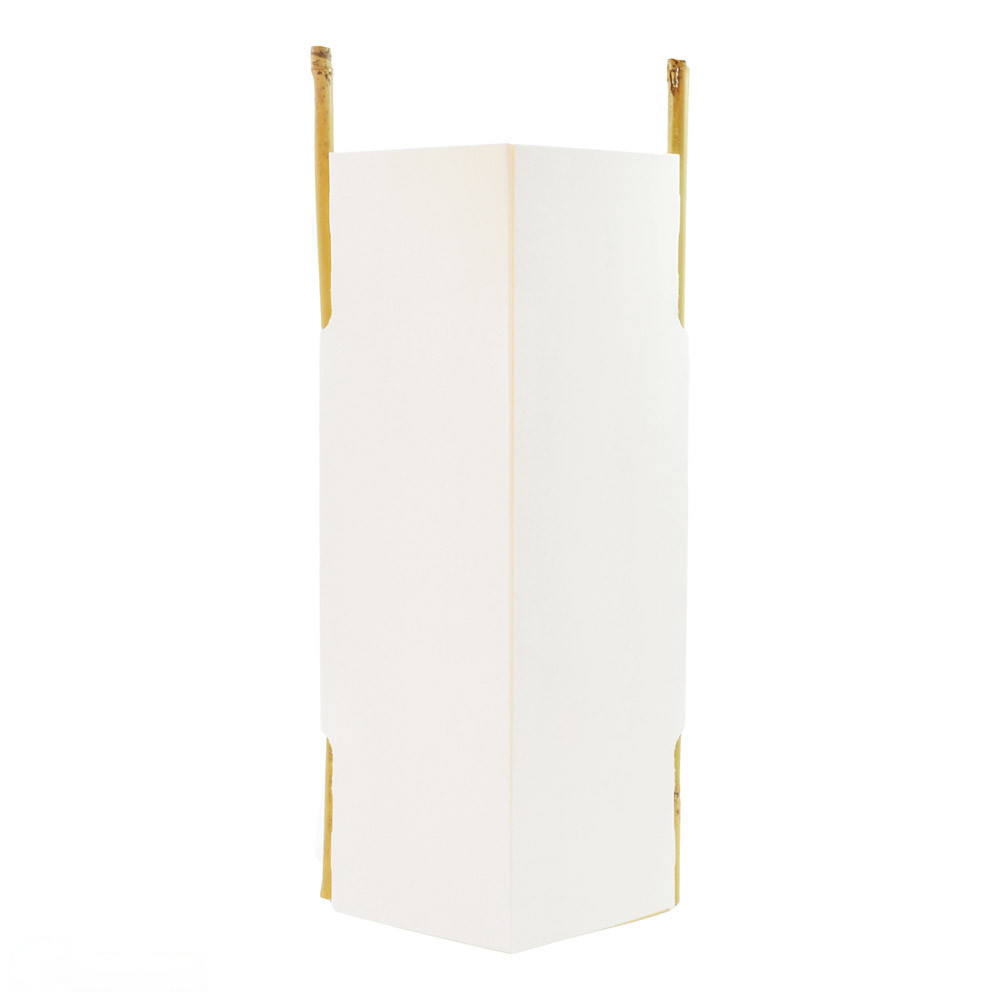 Milk Carton Tree/Vine Guard | The Garden Superstore
