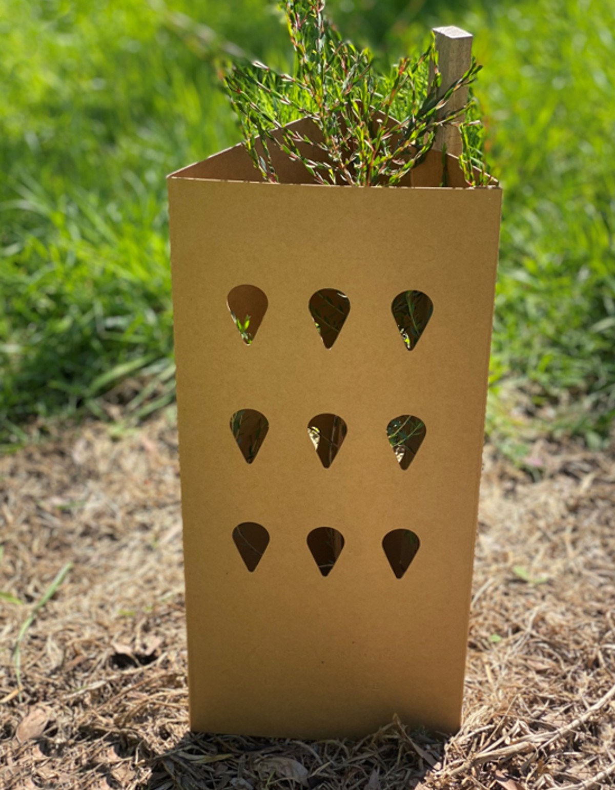 Greenguard POP Triangular Enviro Tree Guard | The Garden Superstore