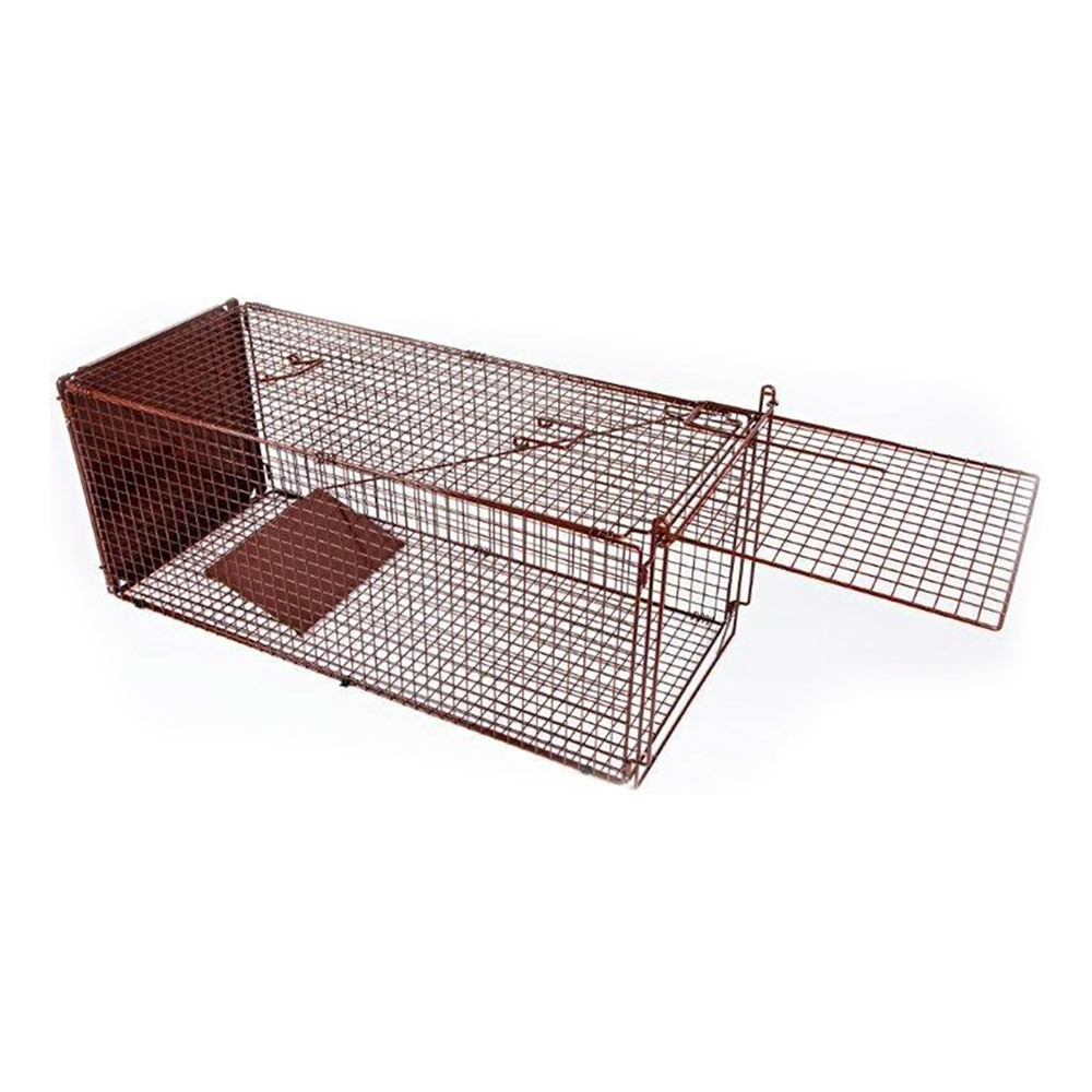 Animal Traps for Humane Garden Pest Control | The Garden Superstore