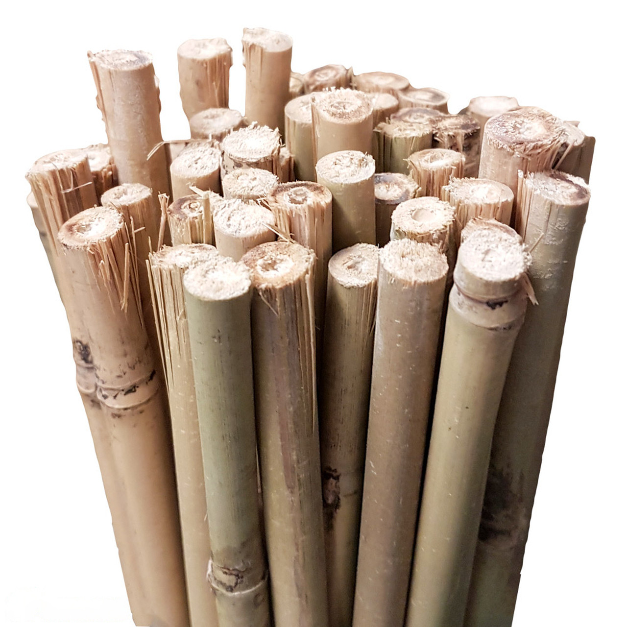 Bamboo Stakes | The Garden Superstore