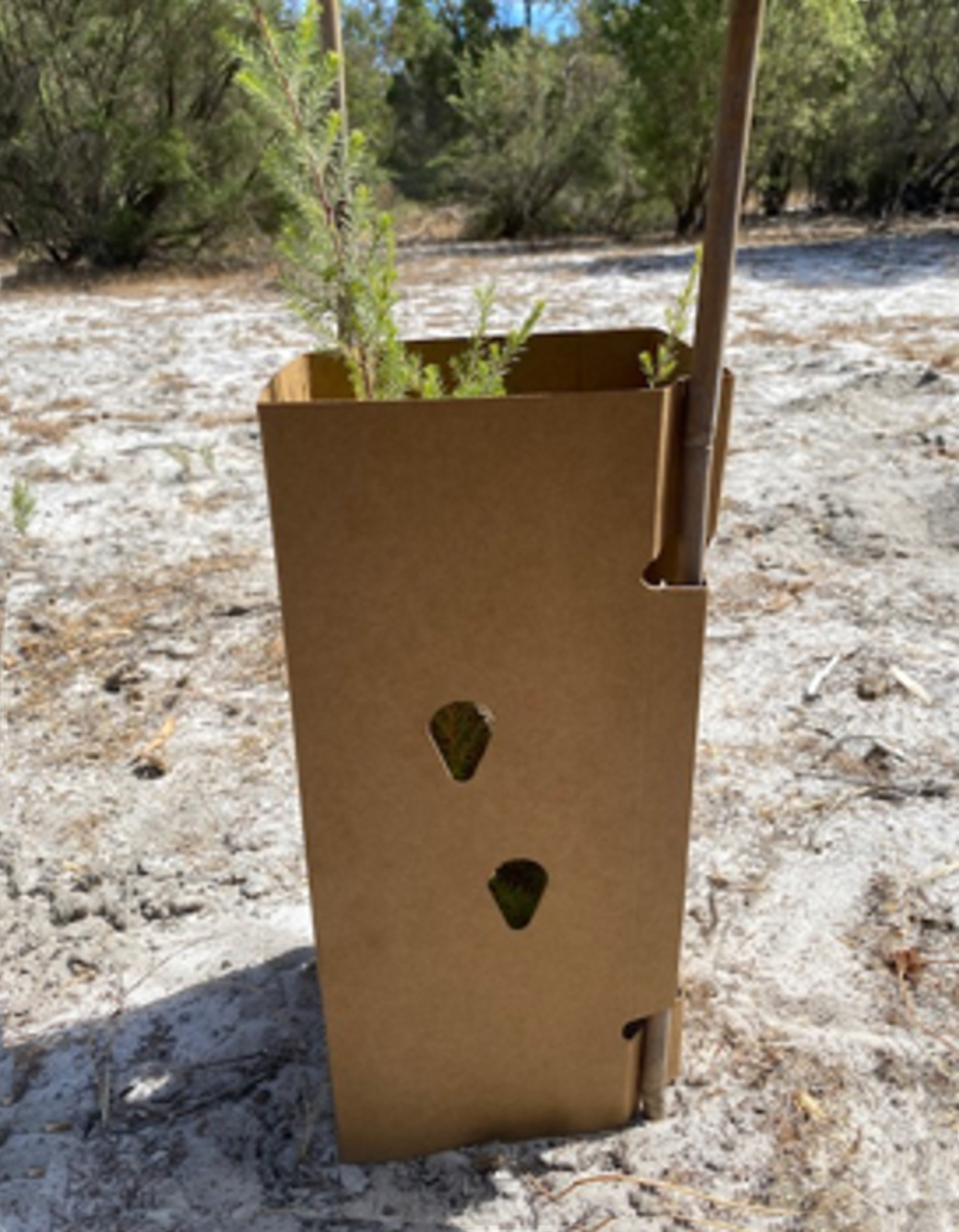 Tree Protection Sleeves & Guards: Essential Garden Care | The Garden ...