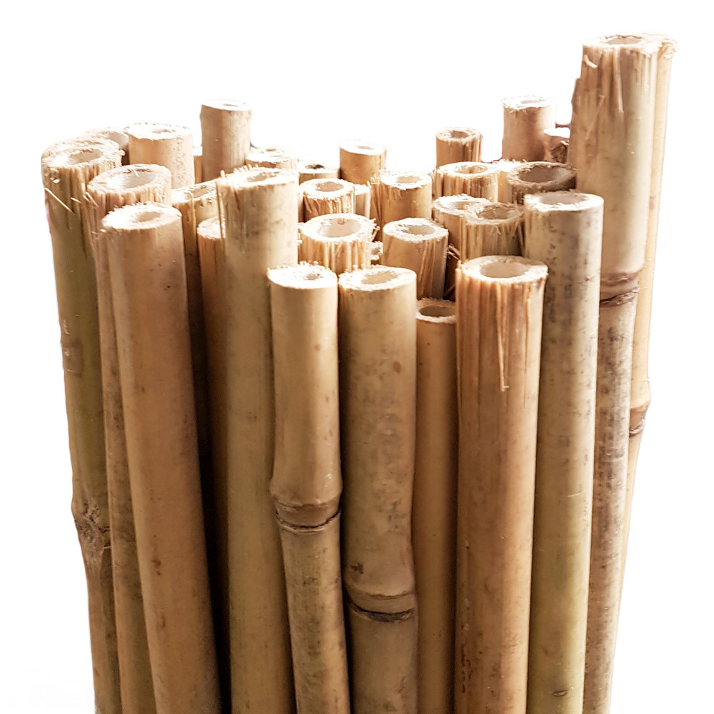 Bamboo Stakes | Durable & Eco-Friendly Garden Supports | The Garden ...