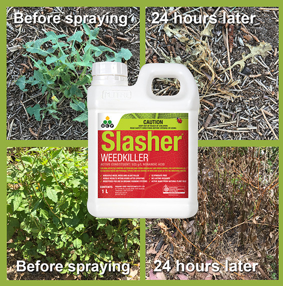 OCP Slasher | Organic Weedkiller | The Garden Superstore