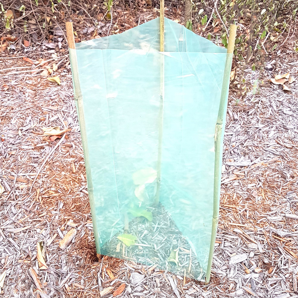 GrowRite CorFlute Tree Guard 450mm high | The Garden Superstore