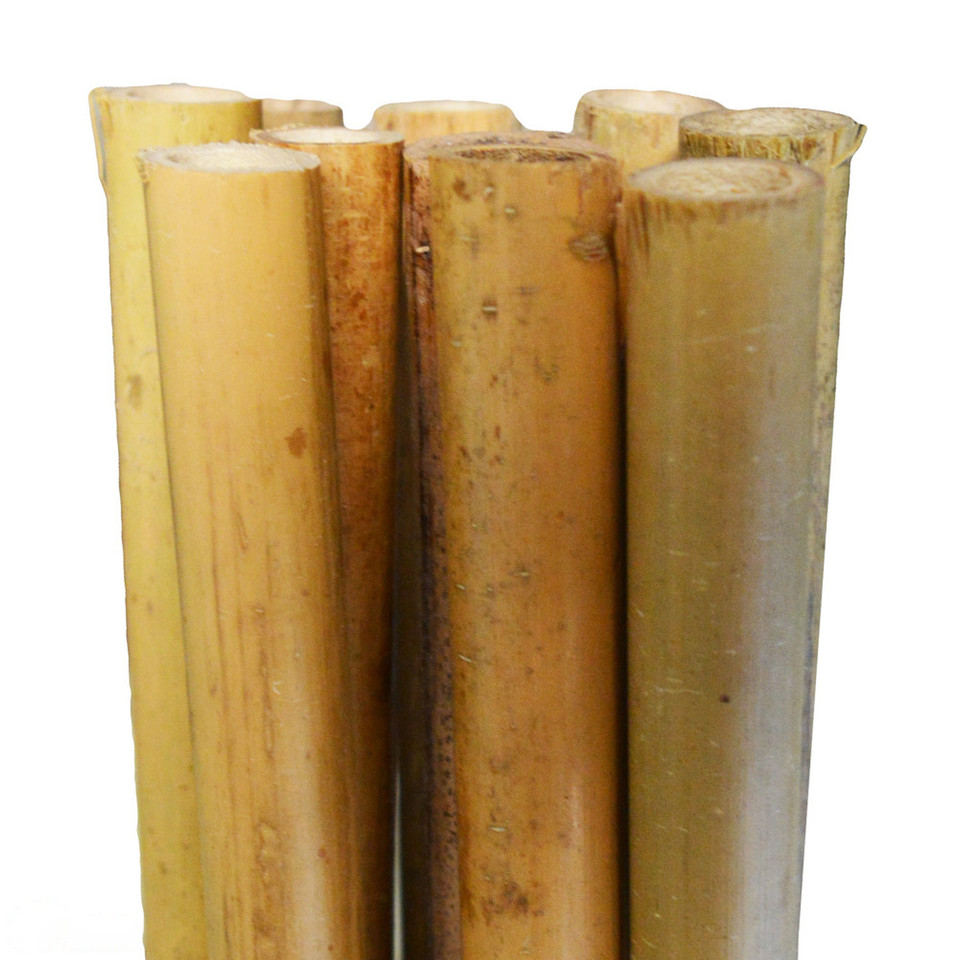 Bamboo Stakes | The Garden Superstore