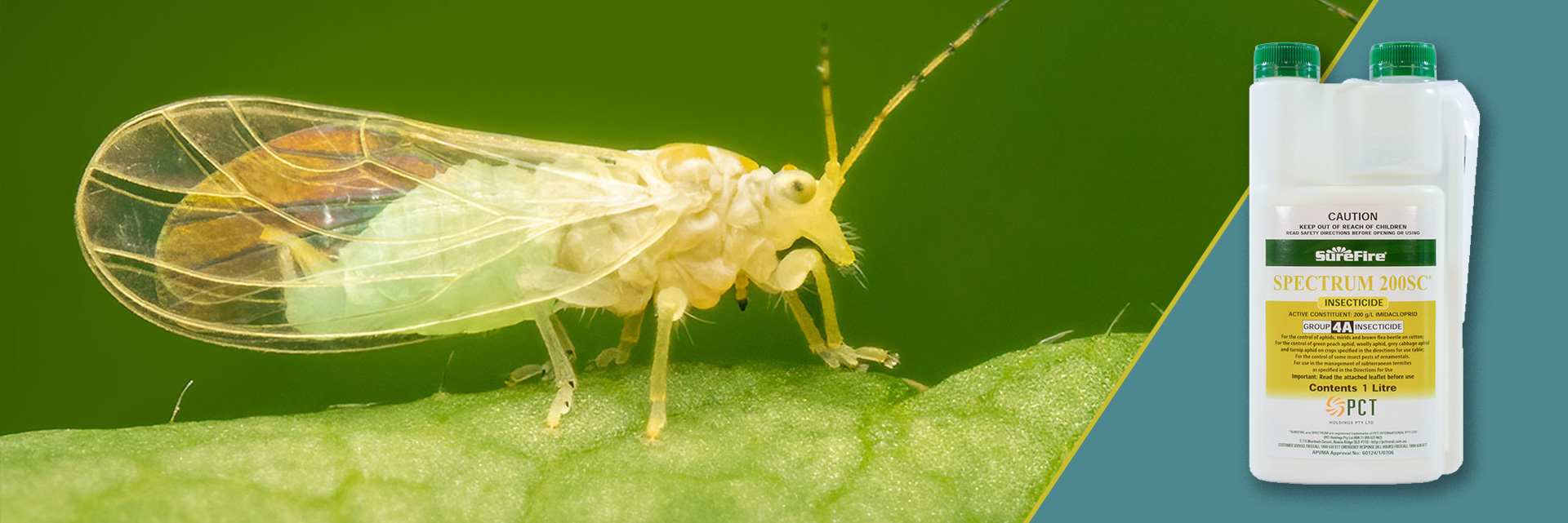 Are you battling with bugs in your garden? - The Garden Superstore