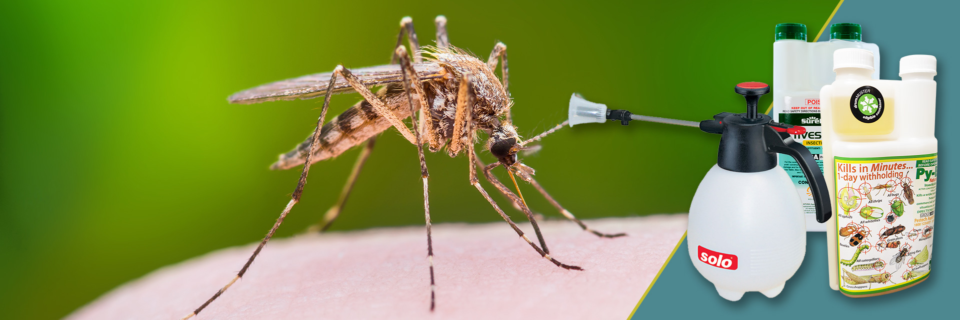 Battling Pests: Mosquitoes & Midgees - The Garden Superstore